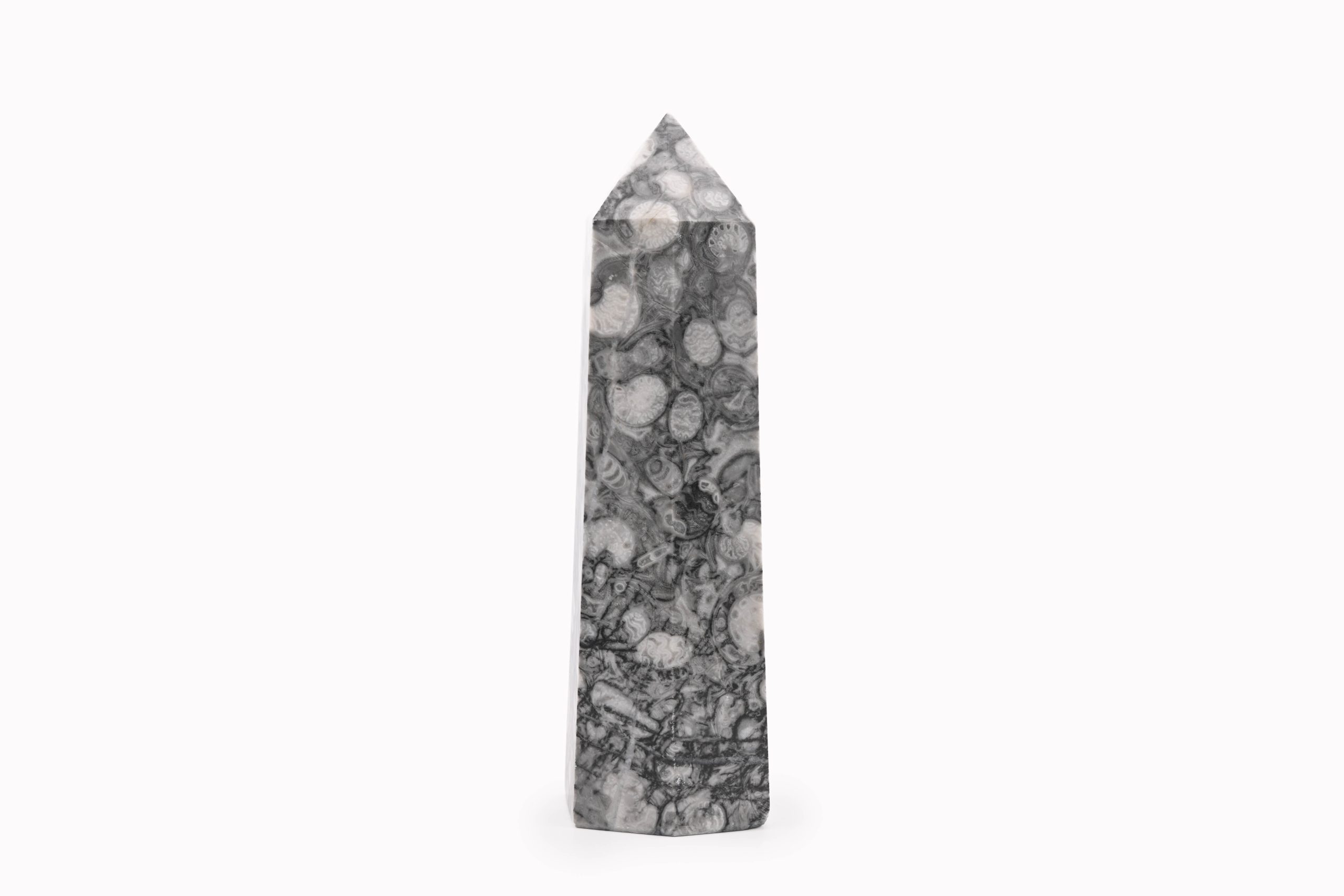 Ammonite & Orthoceras Fossil Polished Tower Point From Morocco 1.92 Lbs ...